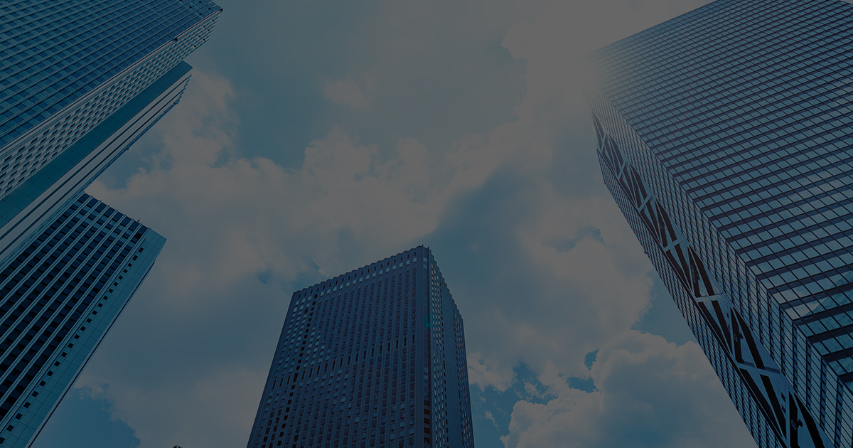 企業情報 ｜ 事業創造・経営コンサルのブルーマーリンパートナーズ